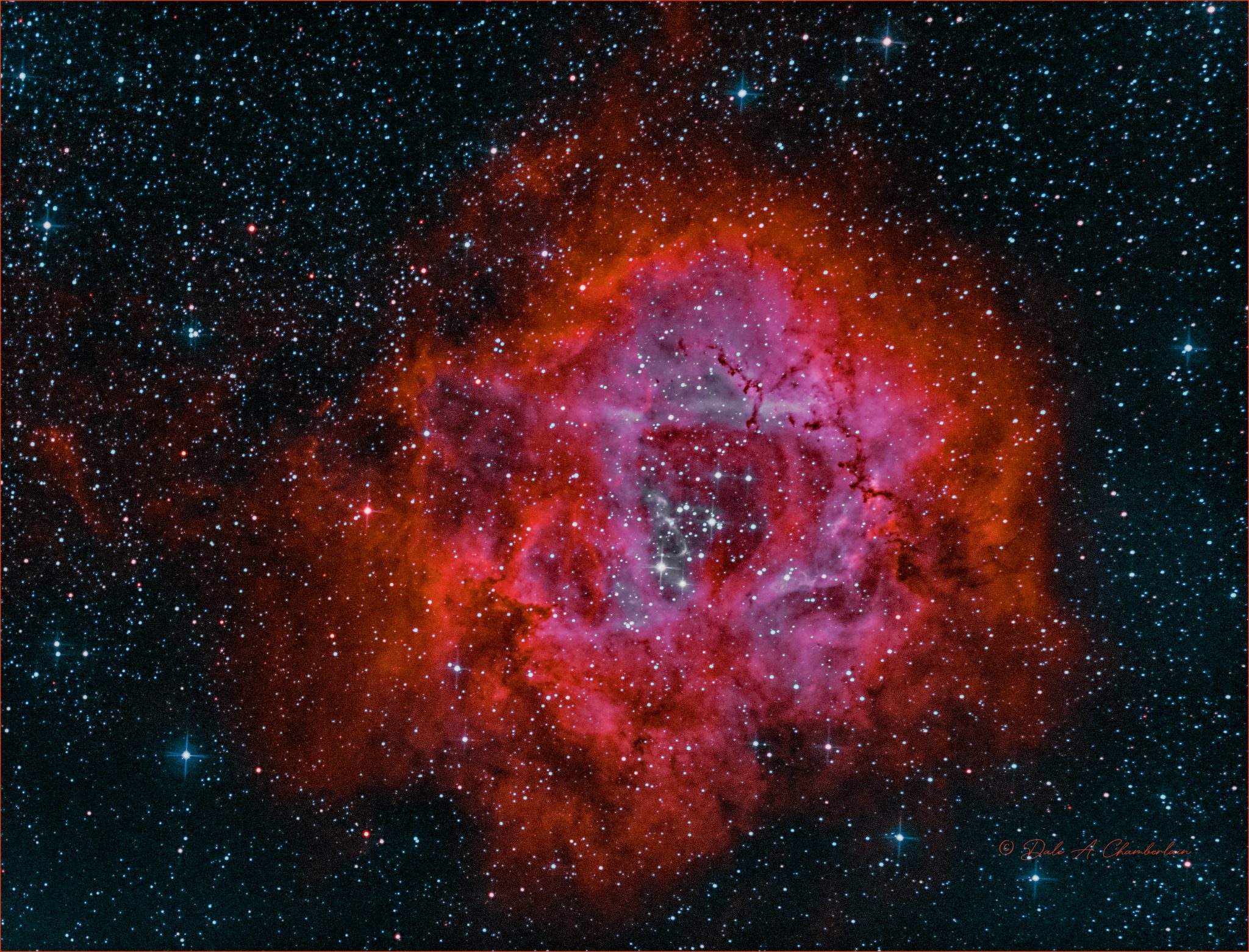 Caldwell 49 The Rosette Nebula : Chamberlain Observatory