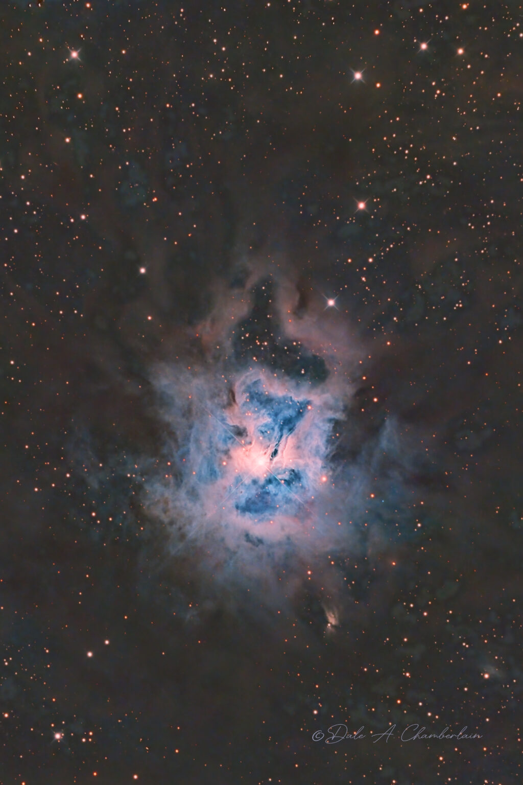 NGC 7023-The Iris Nebula (2024) : Chamberlain Observatory