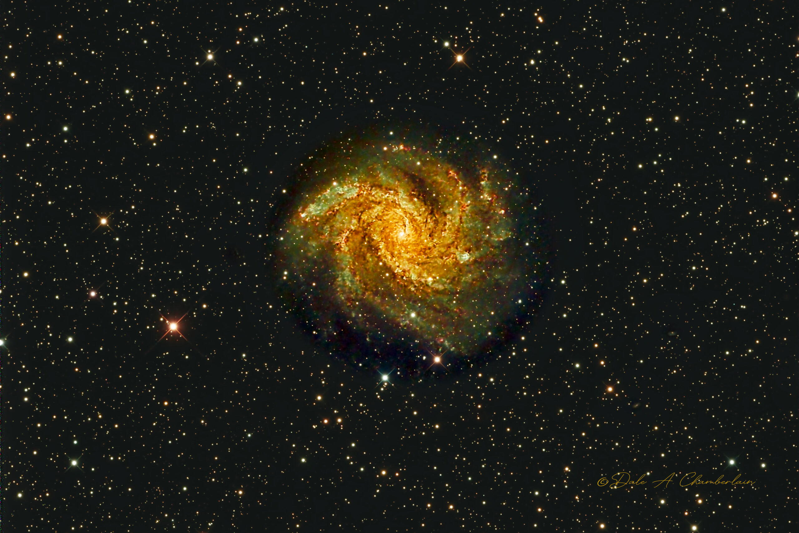 NGC 6946 The Fireworks Galaxy : Chamberlain Observatory